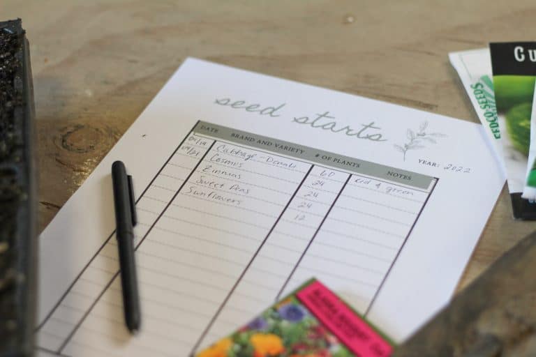 Seed Starting Spreadsheet and Tips - Rosehips & Honey