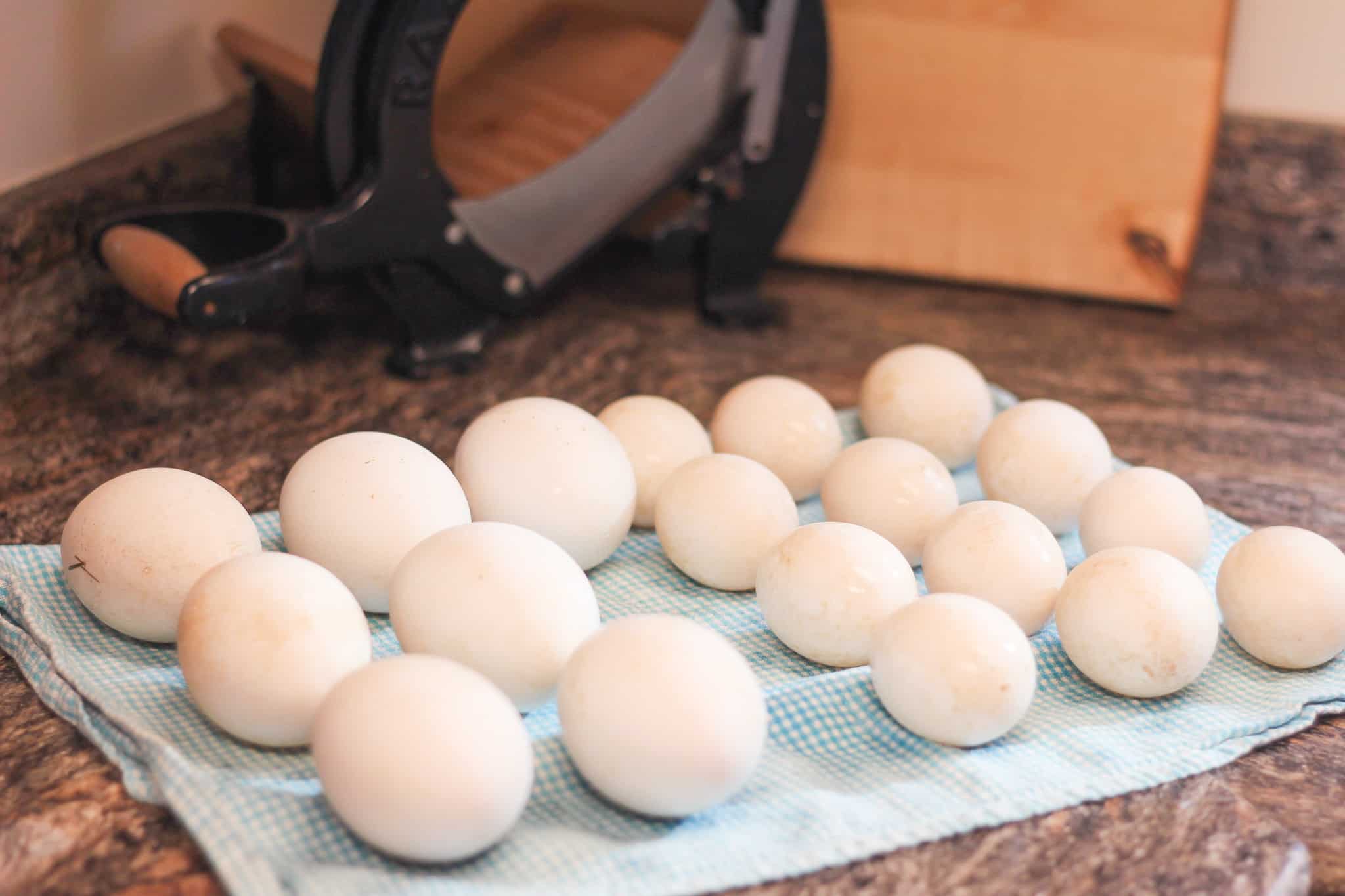 How and When to Wash Fresh Eggs - Rosehips & Honey