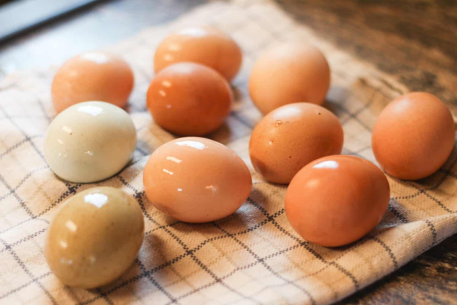 How and When to Wash Fresh Eggs - Rosehips & Honey