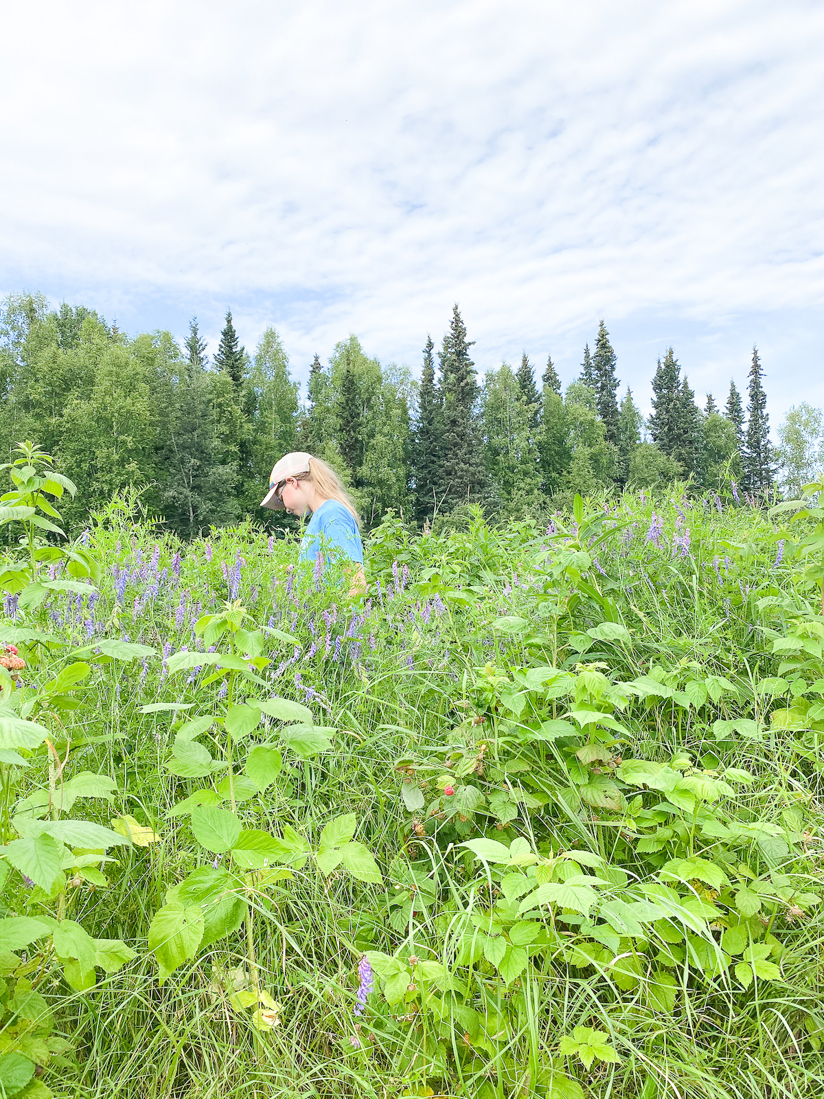 Tips for Picking Wild Berries - Rosehips & Honey
