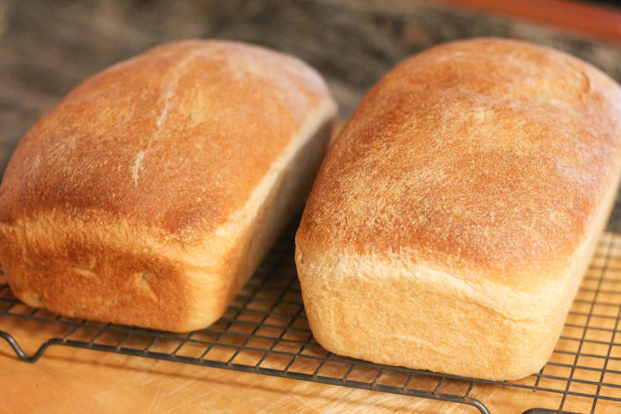 Whole Wheat Sourdough Sandwich Bread Recipe - Rosehips & Honey