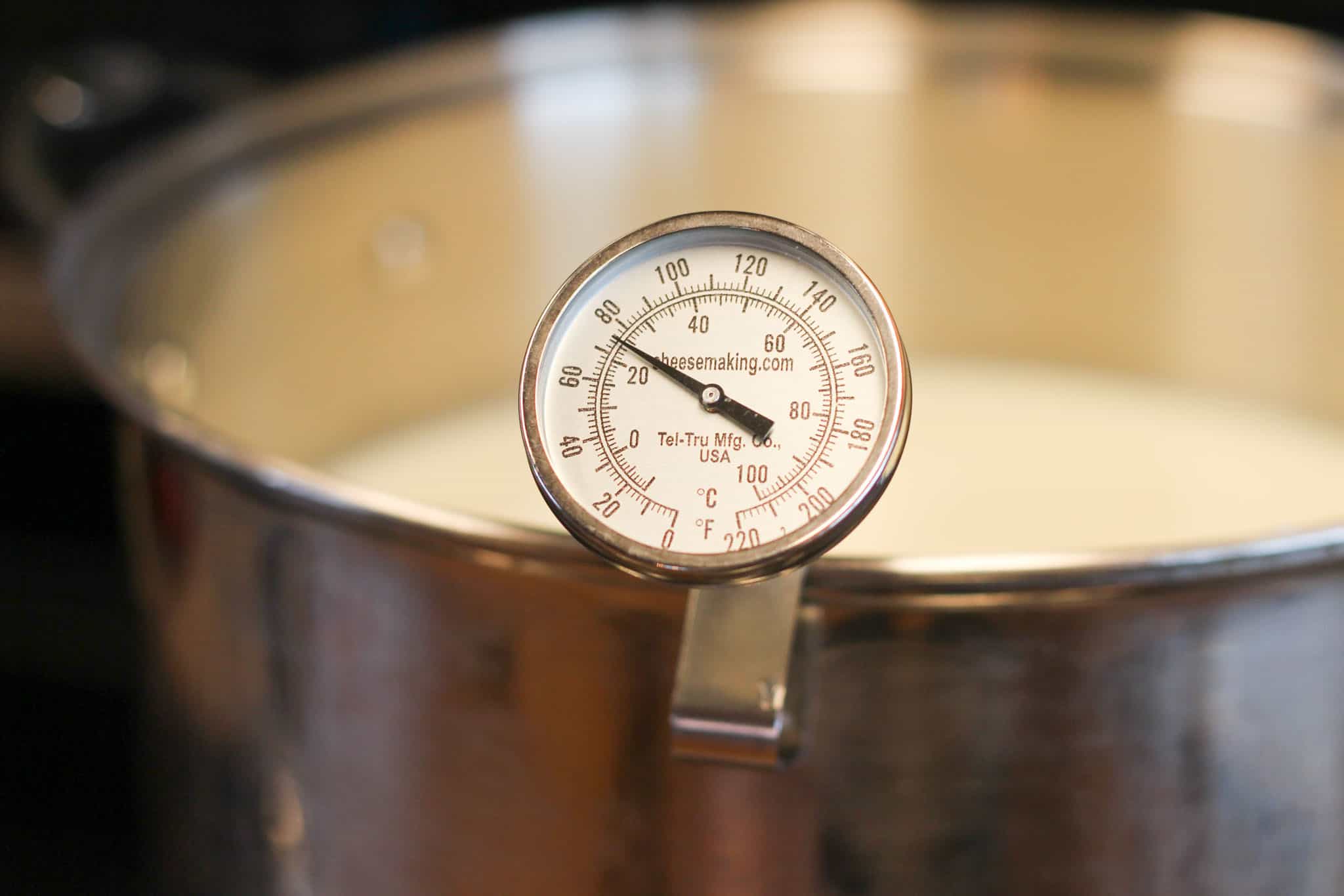 Basic Cheesemaking Supplies - Rosehips & Honey