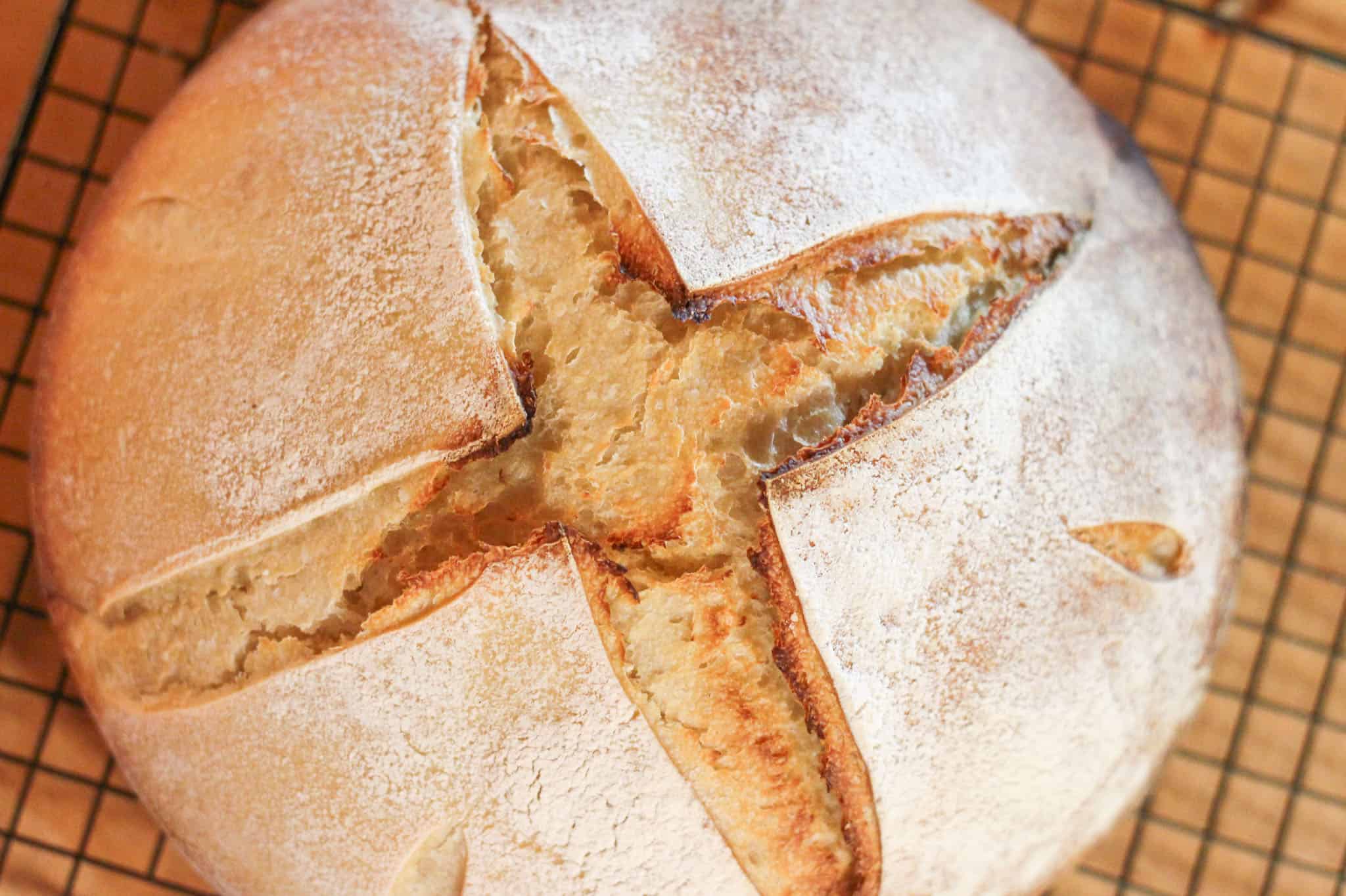 Sourdough Boule Recipe - Rosehips & Honey