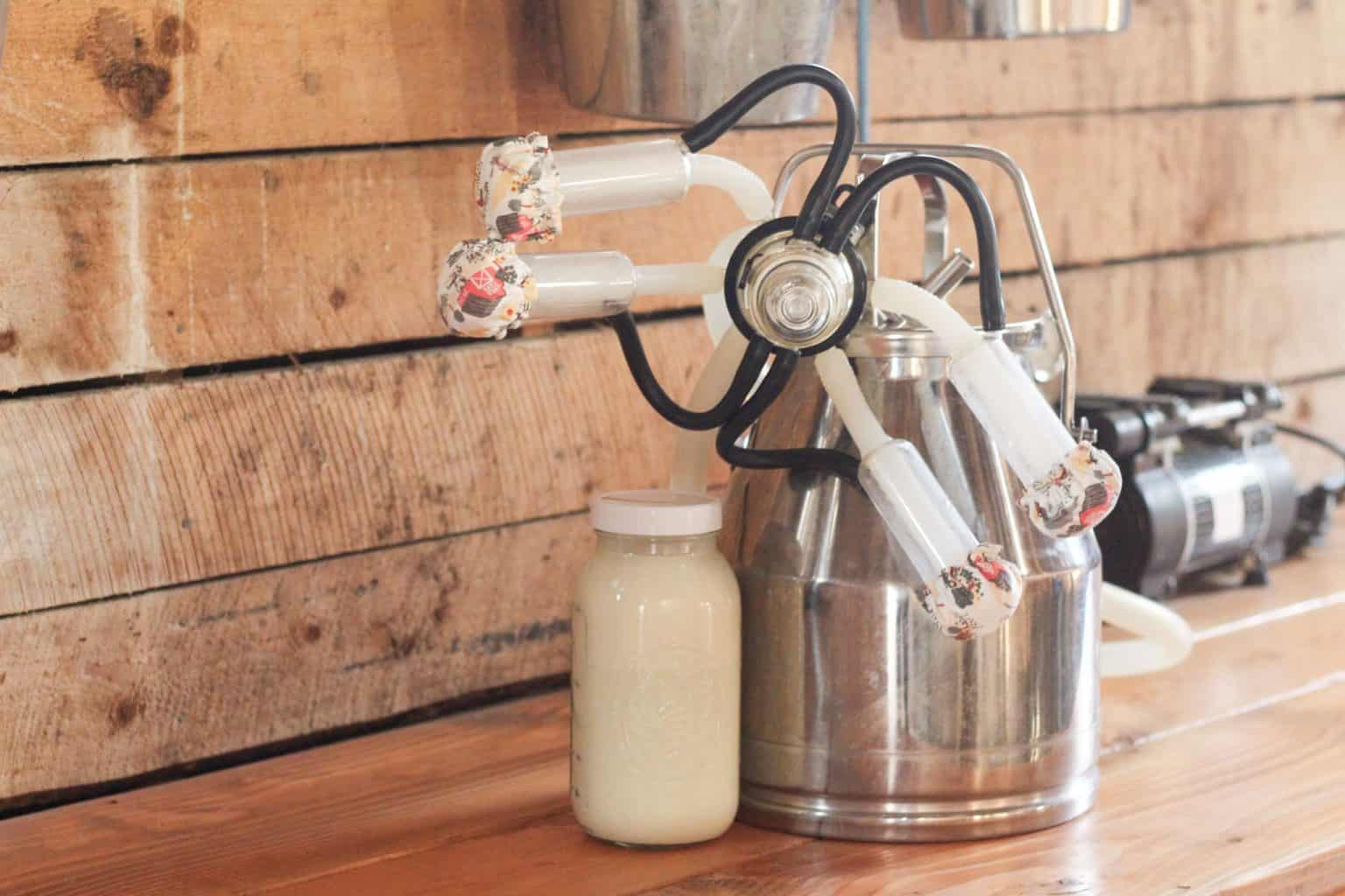 Milk Machine Inflation Covers - Rosehips & Honey