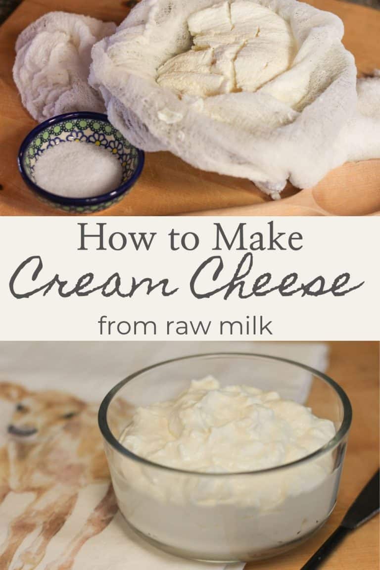 How to Make Cream Cheese from Raw Milk - Rosehips & Honey