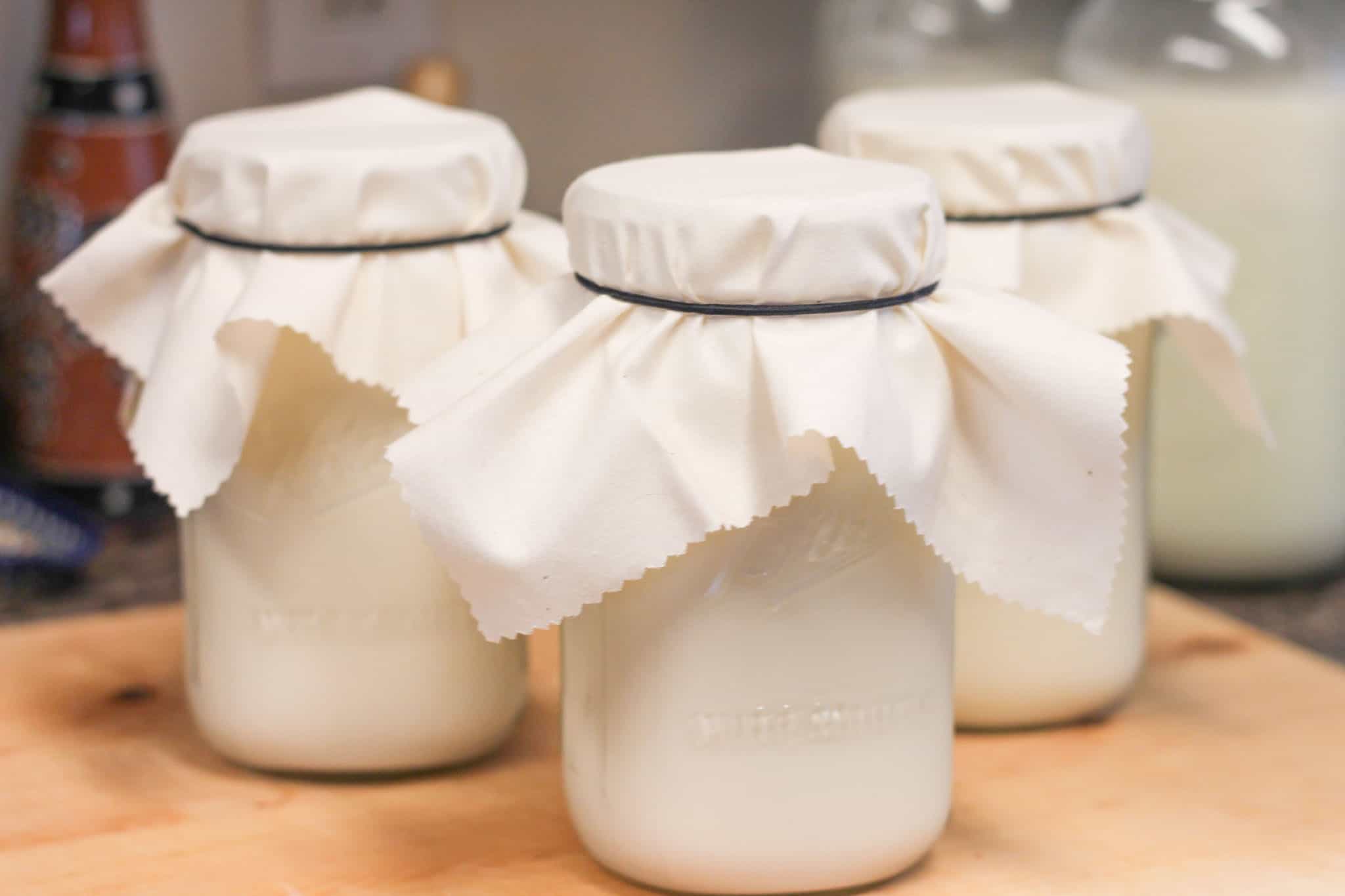 How to Make Cream Cheese from Raw Milk - Rosehips & Honey